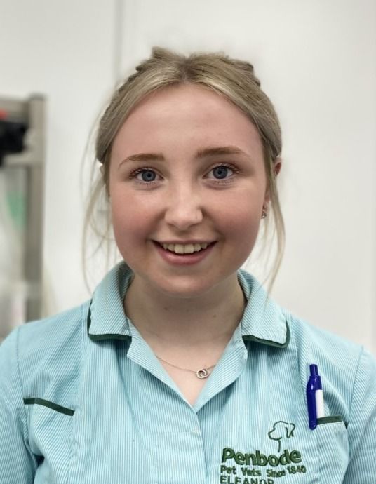 Meet Our Pet Team | Penbode Vets